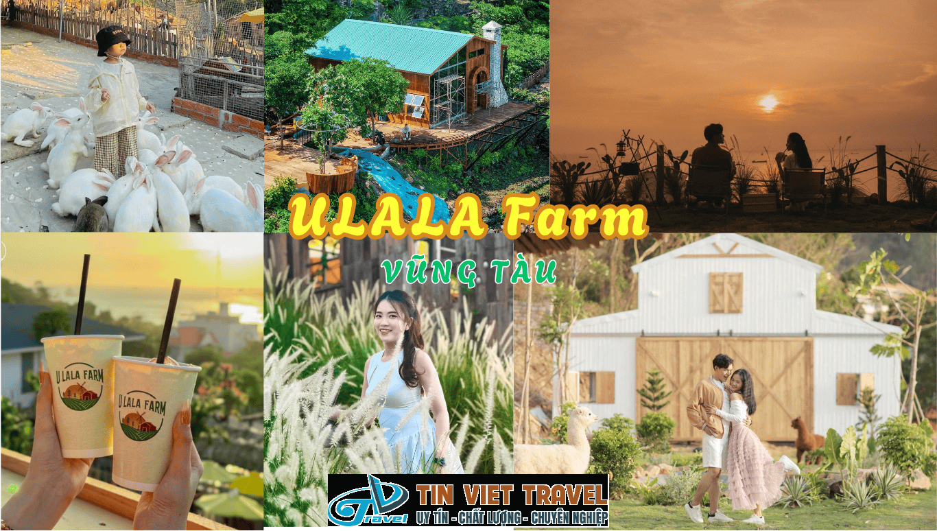 Ulala Farm Vũng Tàu – Điểm Đến Lý Tưởng Cho Hội Yêu Thiên Nhiên Và Thú Cưng